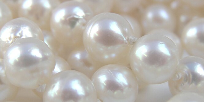 Command™ Brand Limited Edition Color Collection